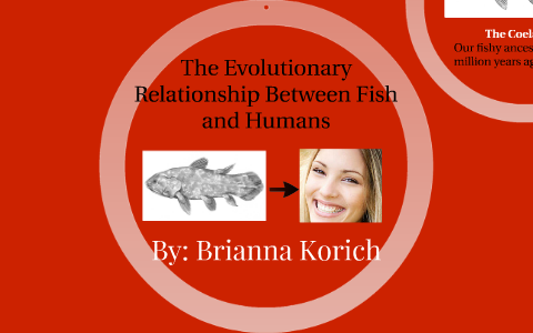 The Relationship Between Fish and Humans by Brianna Korich on Prezi