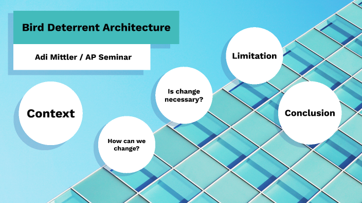 IWA- Final Presentation by Adi Mittler on Prezi