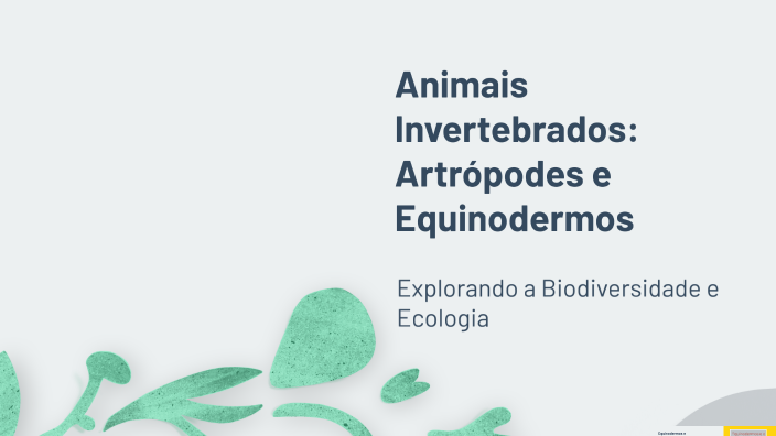 Animais Invertebrados: Artrópodes e Equinodermos by flavia alberton de ...