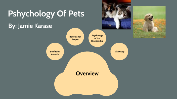 Psychology Of Pets by Jamie Karase on Prezi