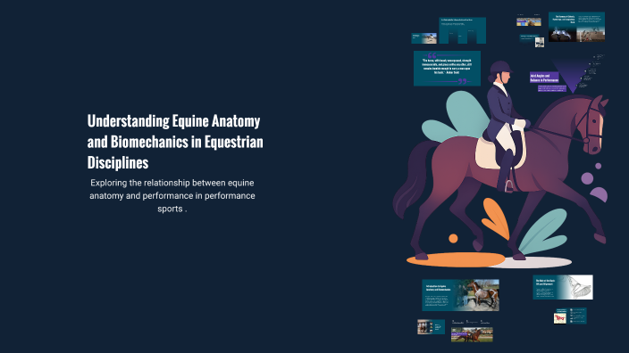 Understanding Equine Anatomy and Biomechanics in Equestrian Disciplines ...