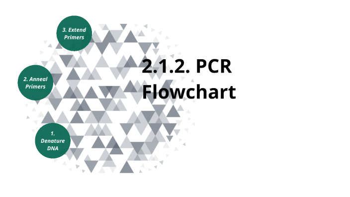 2.1.2 PCR Flowchart by Madison Wood on Prezi
