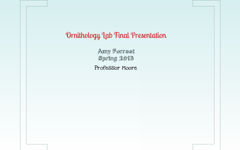 Ornithology Lab Final Presentation by Amy Forrest on Prezi