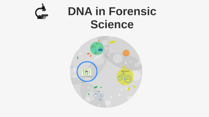 DNA in Forensic Science by Alice Pedersen on Prezi