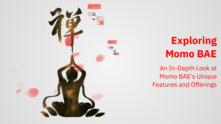 Exploring Momo BAE by Abhishek Muley on Prezi