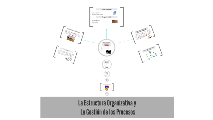 La Estructura Organizativa y La Gestión de los Procesos by Juan Román ...
