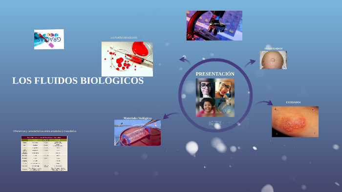 LOS FLUIDOS BIOLOGICOS by norkys rijo on Prezi