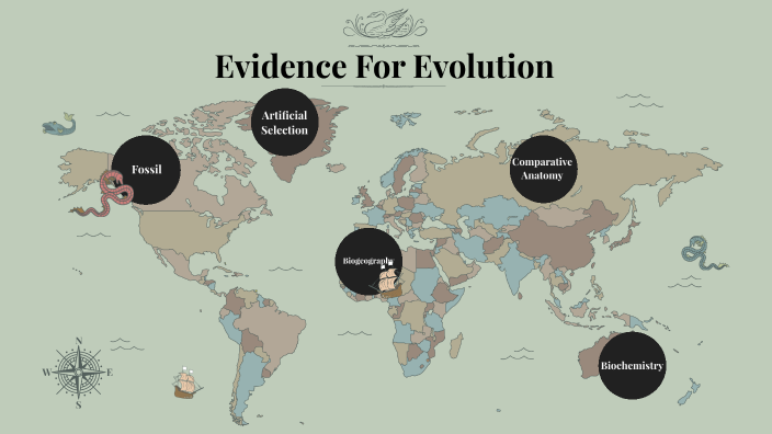 Evolution by Abbie Stokes on Prezi