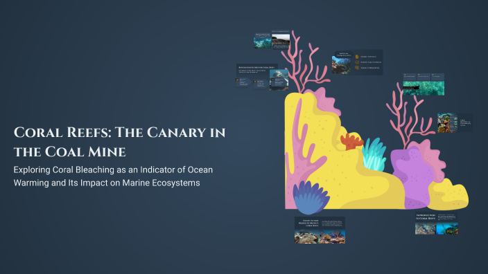 Coral Reefs: The Canary in the Coal Mine by Chronical on Prezi