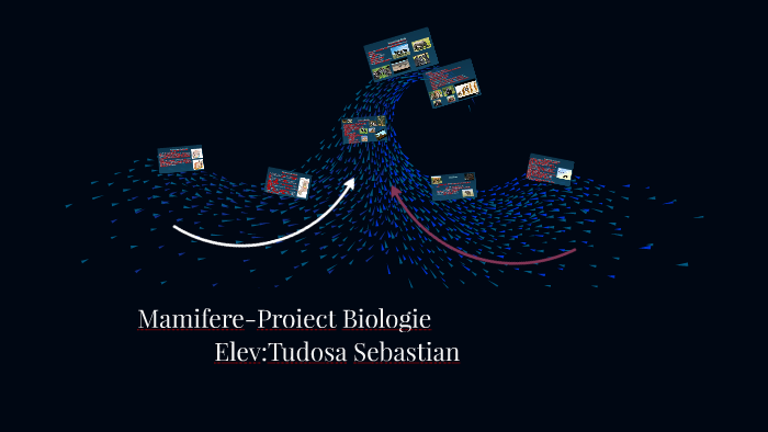 Mamifere-Proiect Biologie by Tudosa Sebastian on Prezi