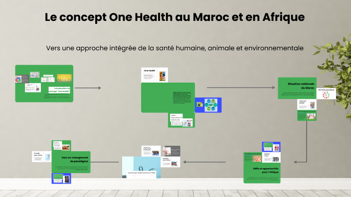 Le concept One Health au Maroc et en Afrique by Oumnia Anfer on Prezi
