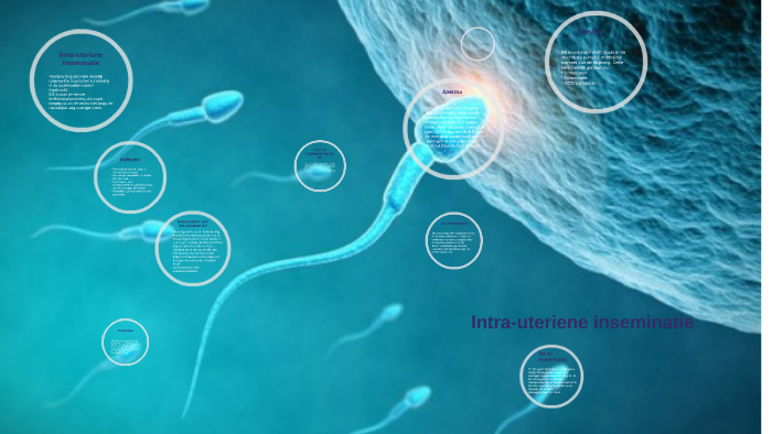 Intra-uteriene inseminatie by Laura Lindhout on Prezi