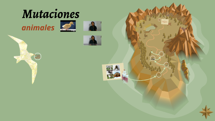mutaciones en animales. by isabella castillo aguire on Prezi