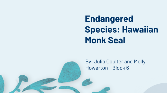Endangered Species: Hawaiian Monk Seal by Julia Coulter on Prezi