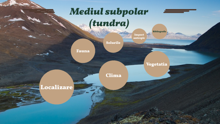 Mediul subpolar by Albescu Alessandra on Prezi