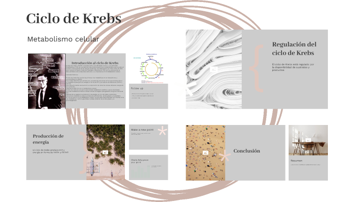 Ciclo de Krebs by Arturo Dawe on Prezi