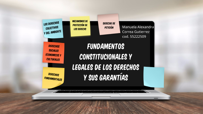 Fundamento constitucionales y legales de los derechos y sus garantías ...
