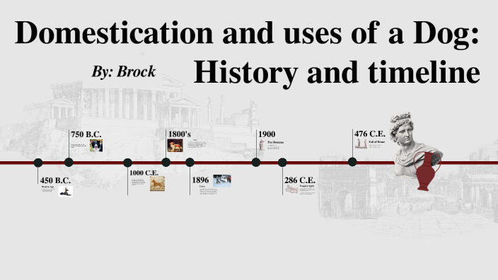 Domestic Uses of a Dog and its History Timeline by Brock Kober on Prezi