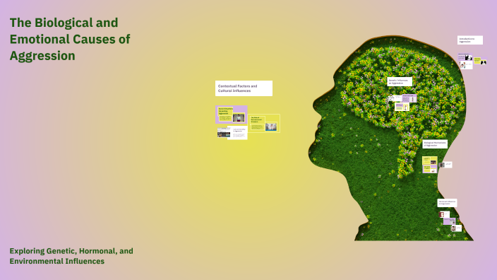 The Biological and Emotional Causes of Aggression by Britney Savery on ...