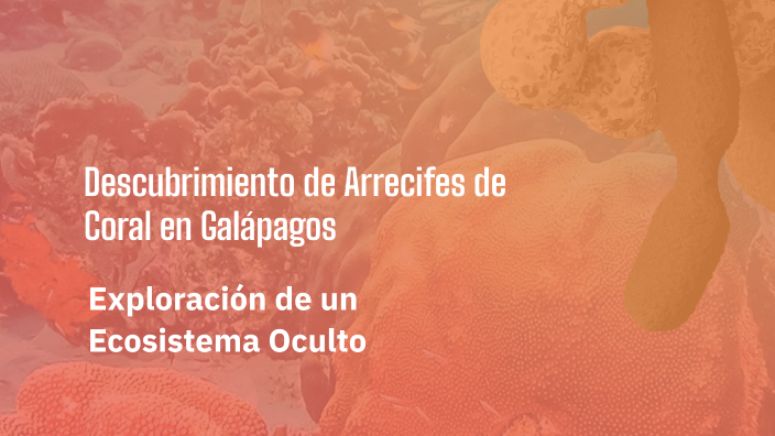 Descubrimiento de Arrecifes de Coral en Galápagos by LADY ESTEFANI ...