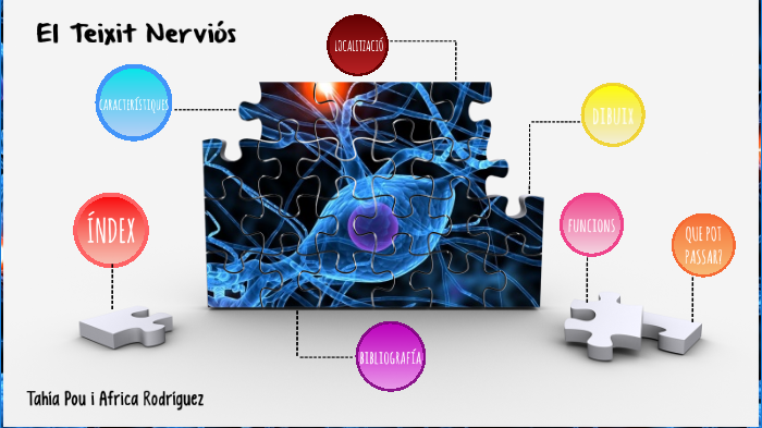 teixit nerviós by Tahía Pou