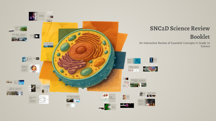 SNC2D Science Review Booklet by Jack Mousseau on Prezi