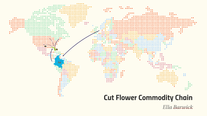 Cut Flower Commodity Chain by Ella Barwick on Prezi