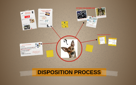 DISPOSITION PROCESS by on Prezi