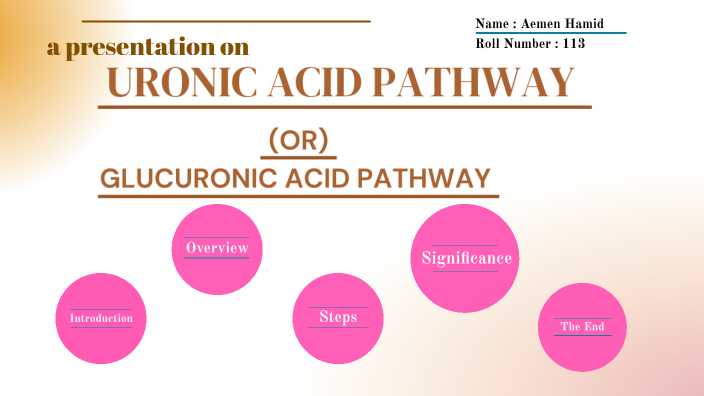 Uronic Acid Pathway by aemen by Aemen Hamid on Prezi