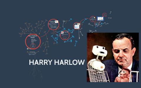 HARRY HARLOW by on Prezi