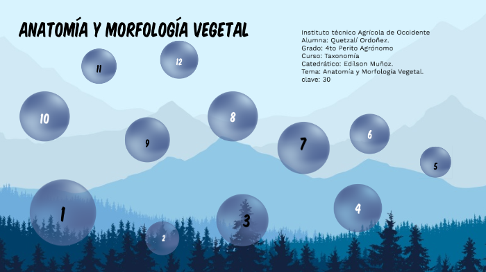 ANATOMÍA Y MORFOLOGÍA VEGETAL by Quetzali Ordoñez on Prezi