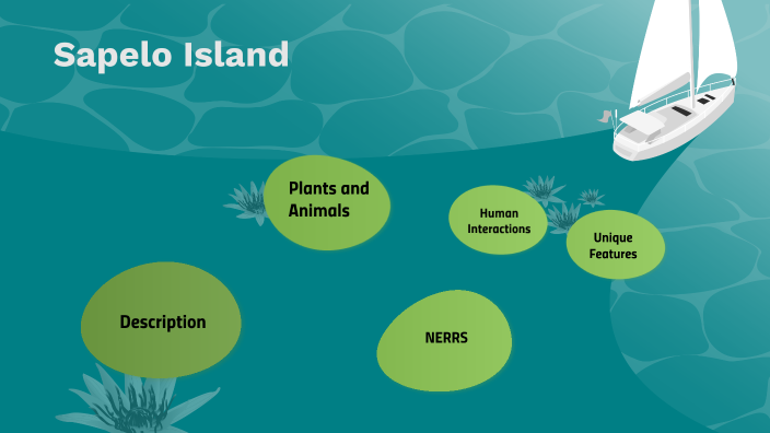 Sapelo Island by DEBORA ALVARENGA on Prezi