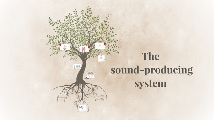 The sound-producing system by Aia Mae Bagas on Prezi