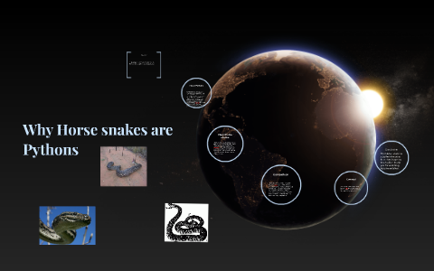 Why Horse snakes are Pythons by Patrick Eckels on Prezi