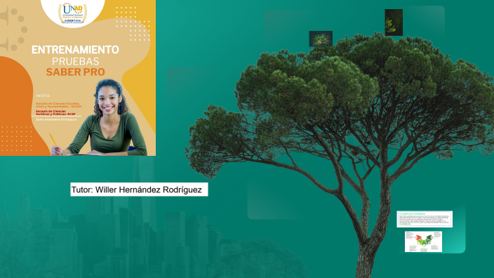 Competencias Ciudadanas en Pruebas Saber Pro by willer hernandez on Prezi