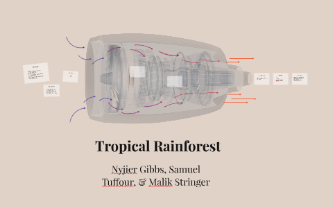 Tropical Rainforest by Samuel Tuffour on Prezi