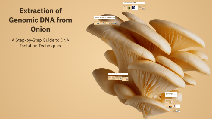 Extraction of Genomic DNA from Onion by F Ch on Prezi