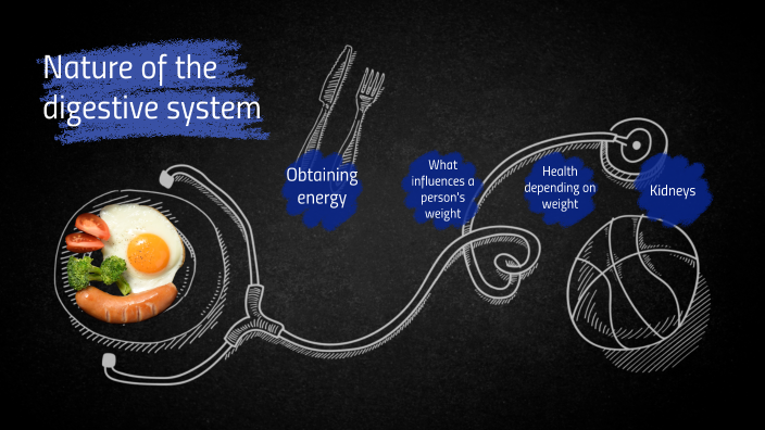 Health Project by AUSTIN NAGEL on Prezi