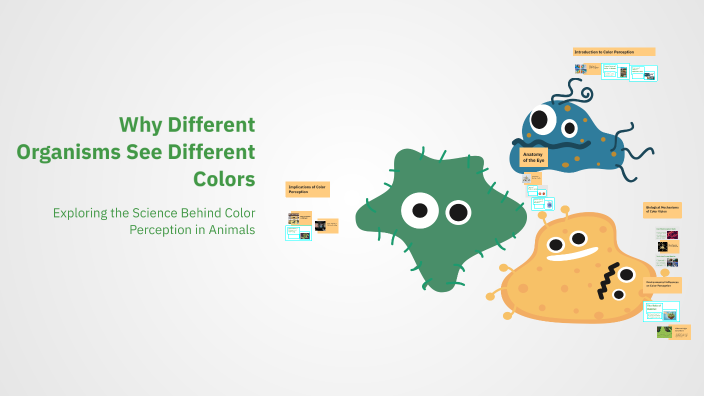 Why Different Organisms See Different Colors by Ingrid Kerper on Prezi