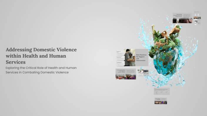 Addressing Domestic Violence within Health and Human Services by Aria ...