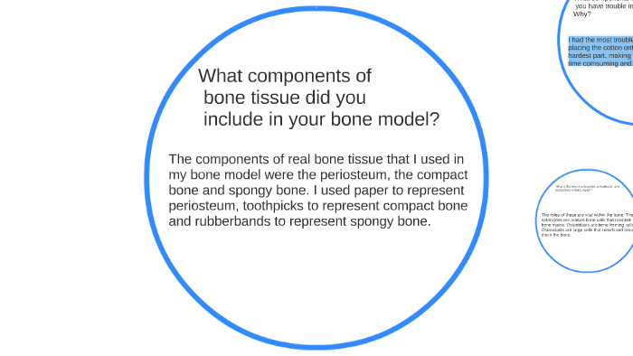 01.06 The Bone Tissues by kalyn carter on Prezi