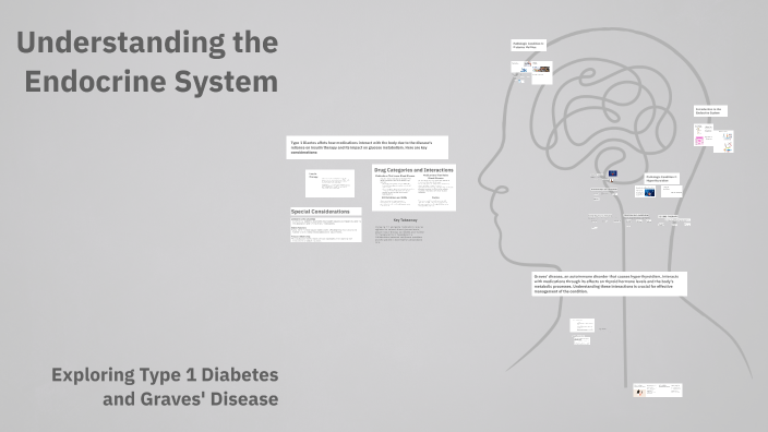 Understanding the Endocrine System by Anna Huffman on Prezi