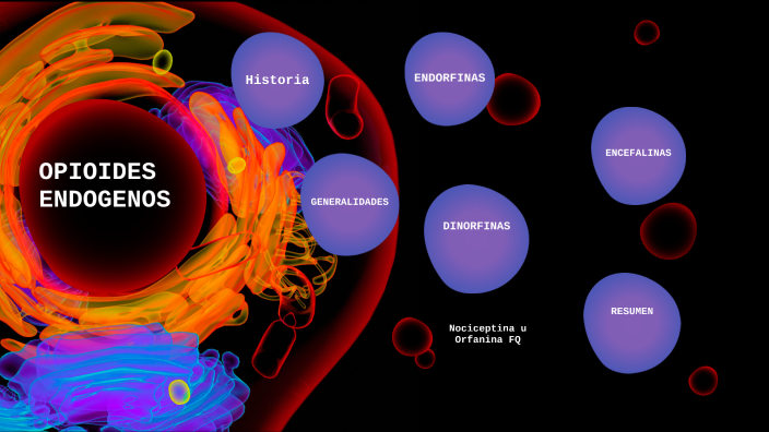 OPIOIDES ENDOGENOS by Emily Endara Zurita on Prezi