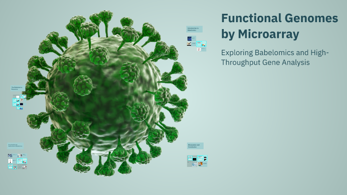 Functional Genomes by Microarray by Esraa ElMalawy on Prezi