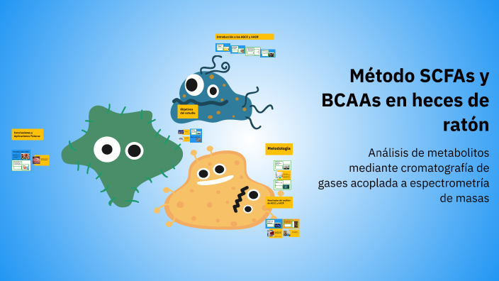 Método SCFAs y BCAAs en heces de ratón by Ainhoa Martinez on Prezi