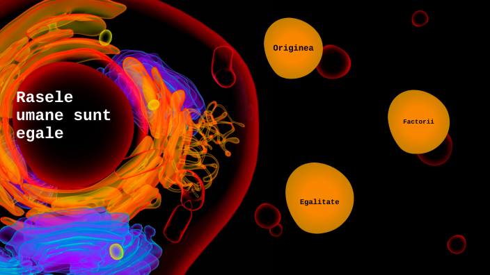 Rasele umane by Elena Ostap on Prezi