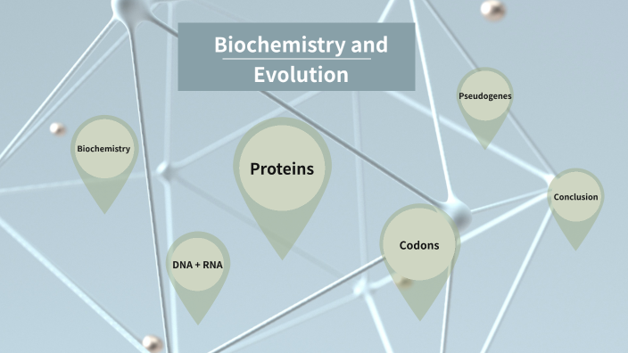 Biochemistry and Evolution by Elli Alcatrao on Prezi