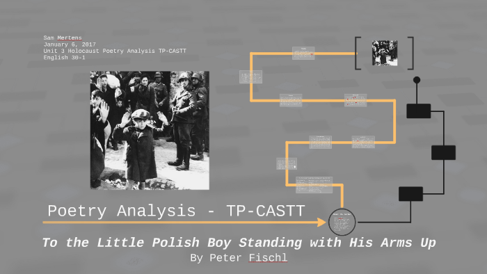 Poetry Analysis - TP-CASTT by Katie Mertens on Prezi