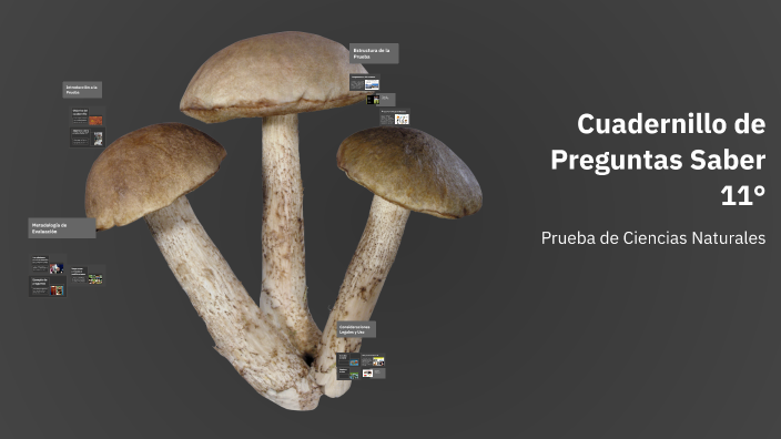Cuadernillo de Preguntas Saber 11° by erika negrete on Prezi