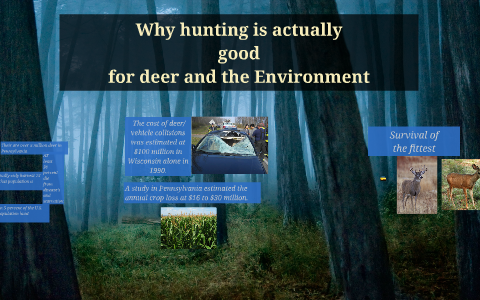 Why hunting is actually good for deer by Trevor McFadden on Prezi